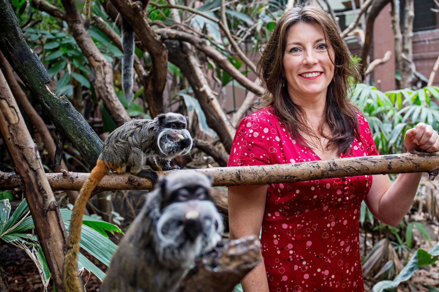 Lucy Cooke - Revista Santiago - Universidad Diego Portales