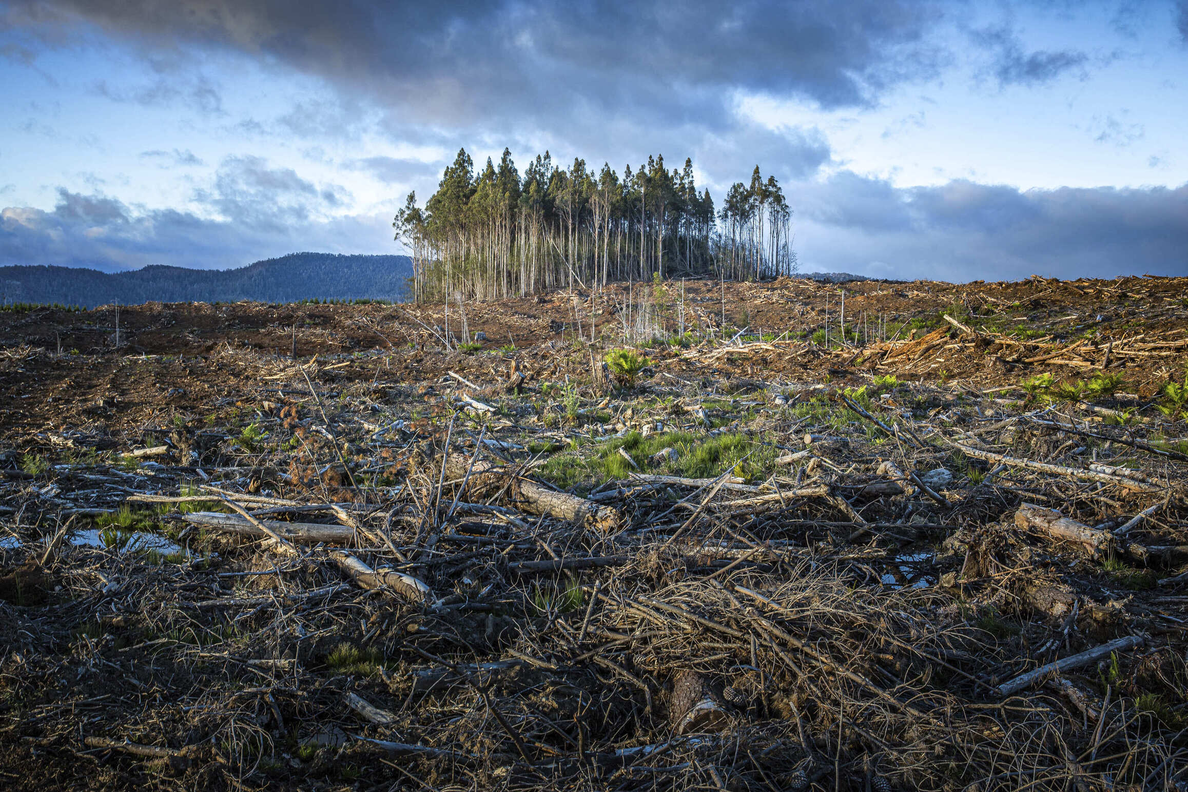 Mirando dentro del antropoceno - por Adam Frank - Revista Santiago